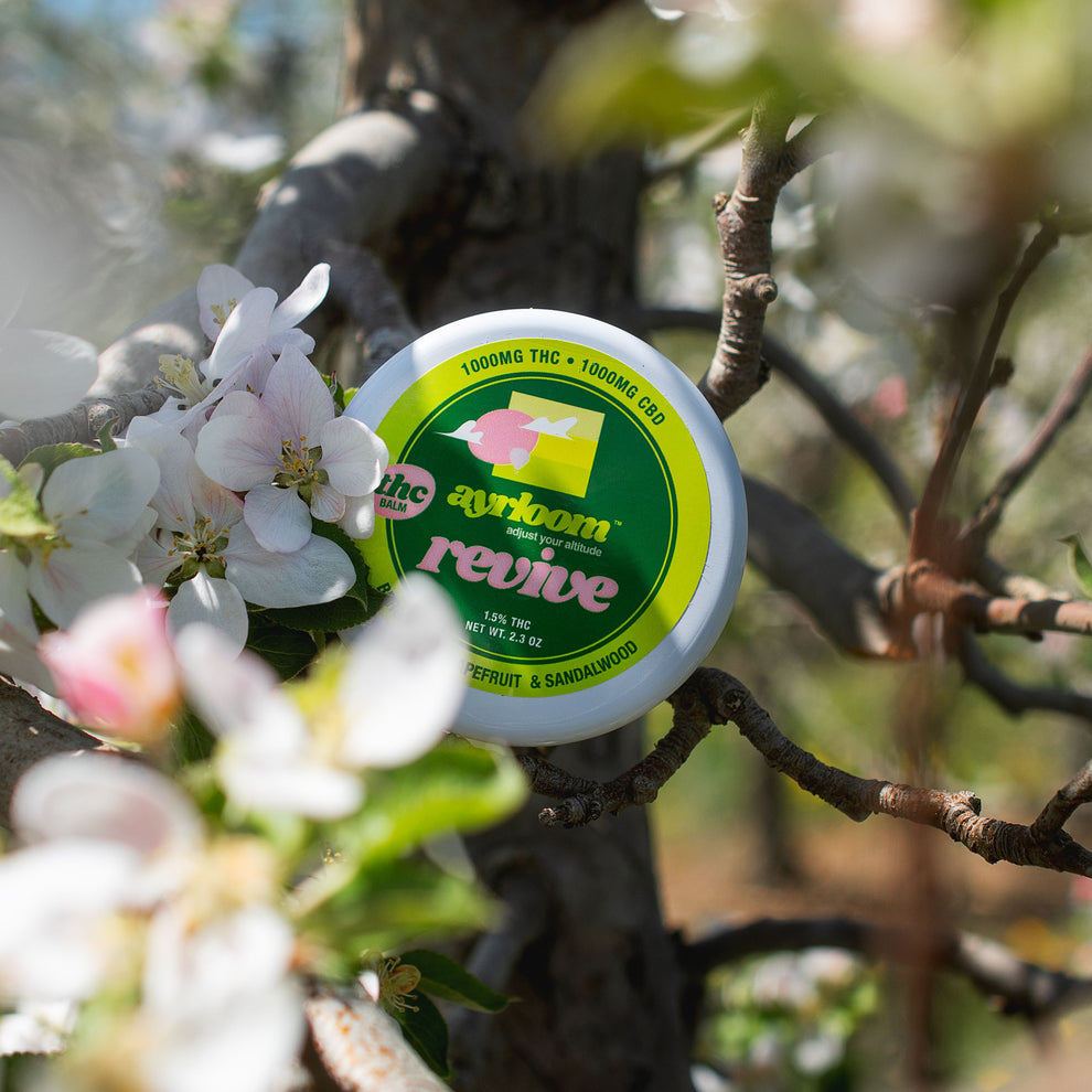 revive balm – ayrloom-store