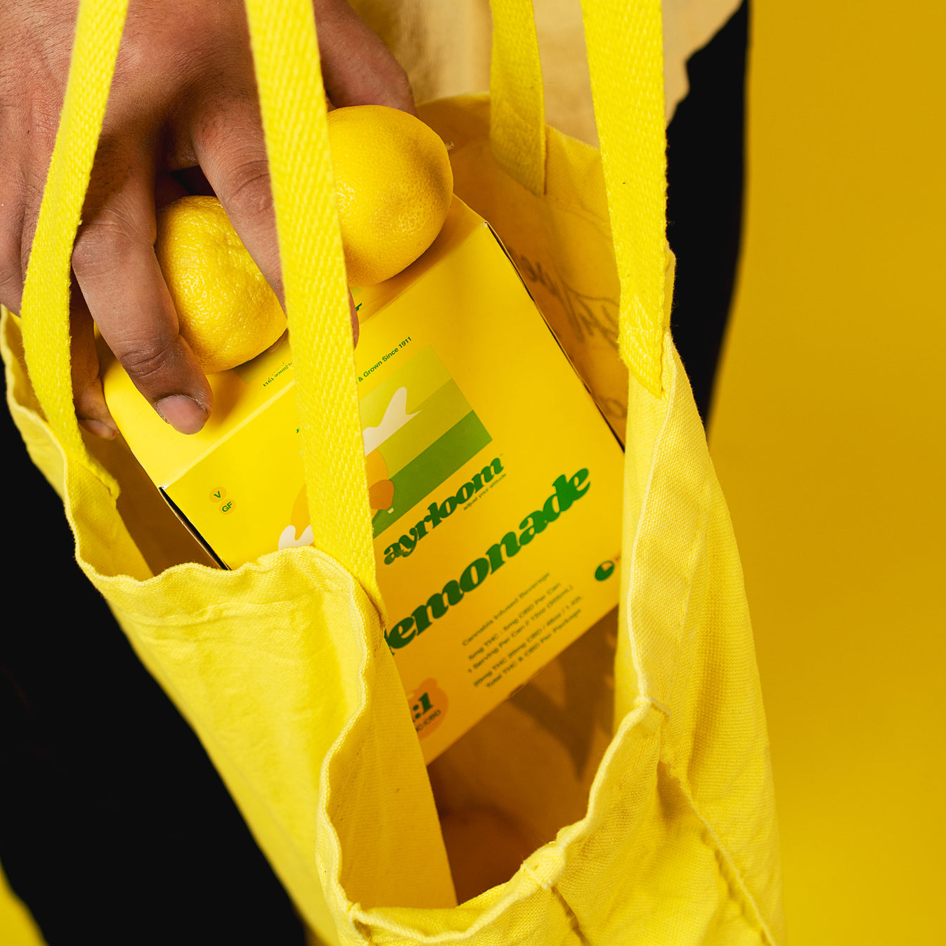 lemonade – ayrloom-store